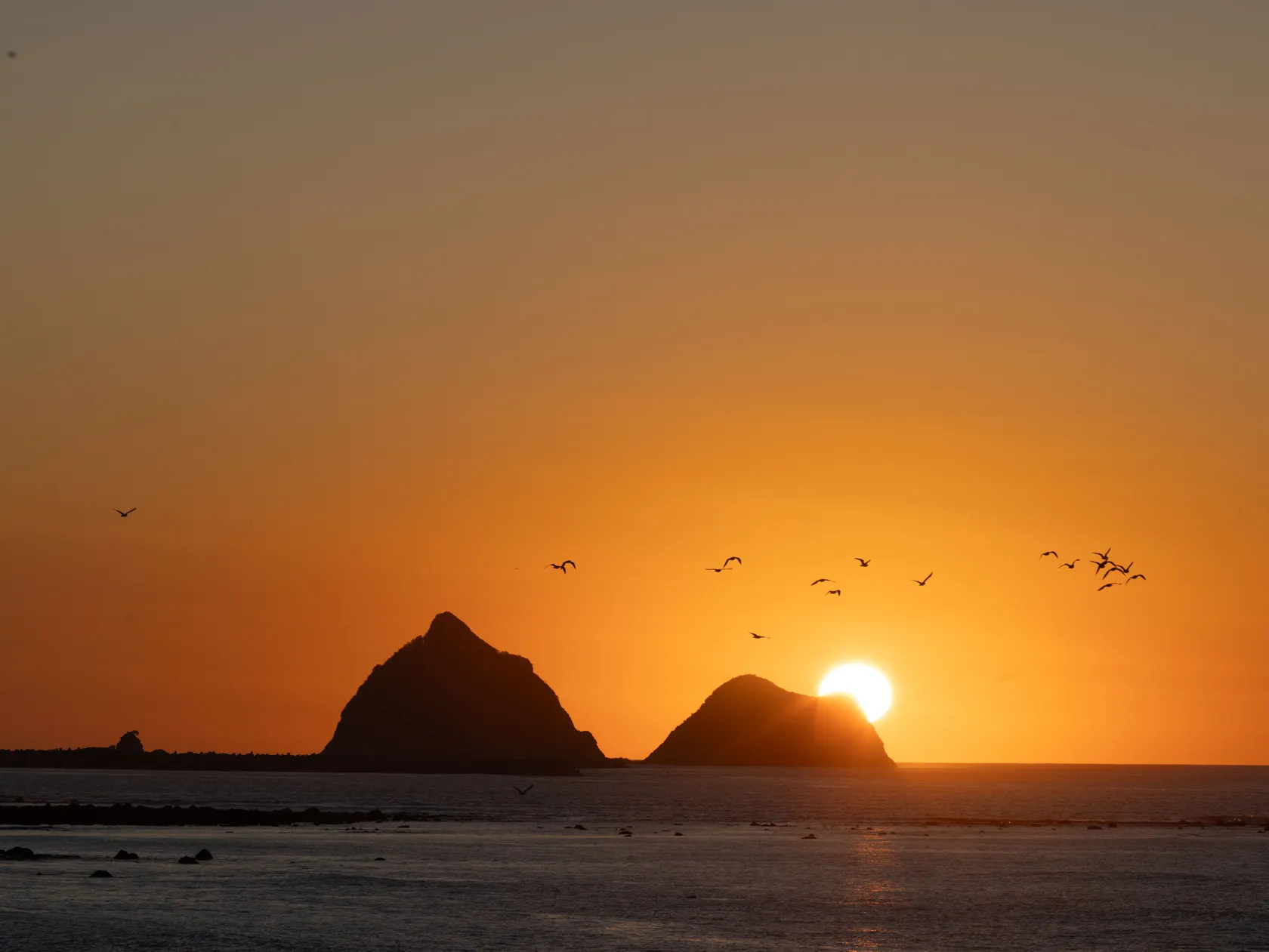 Te Rahui solar farm reaches financial close | Todd